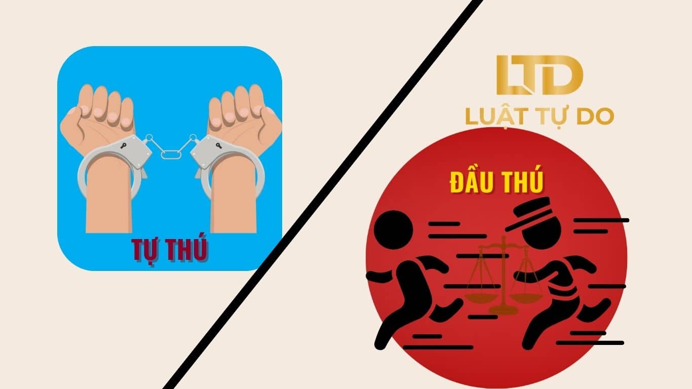 Tự Thú Và đầu Thú Là Gì Theo Quy định Của Bộ Luật Hình Sự